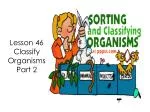 PPT - Desert Ecosystem Lesson 46 PowerPoint Presentation, free download ...