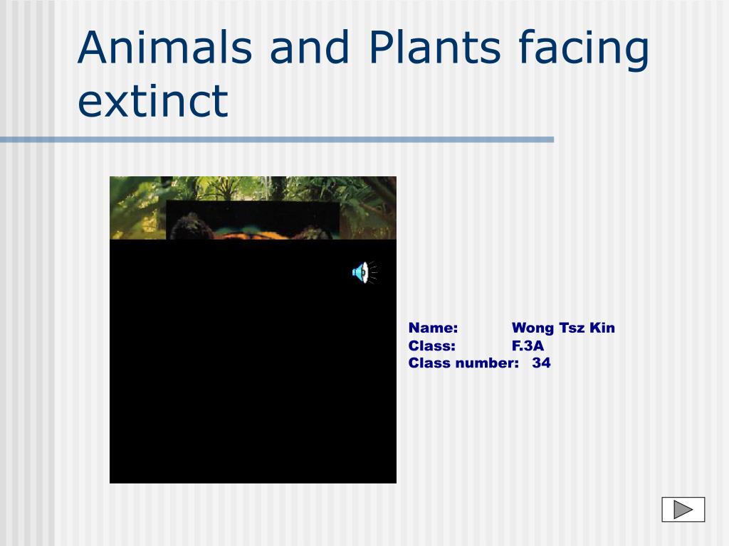 PPT - Animals and Plants facing extinct PowerPoint Presentation, free ...