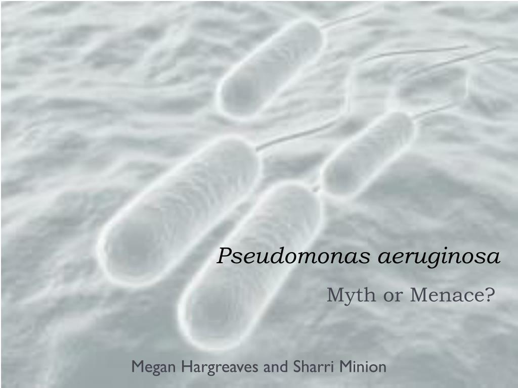 PPT - Pseudomonas aeruginosa PowerPoint Presentation, free download ...