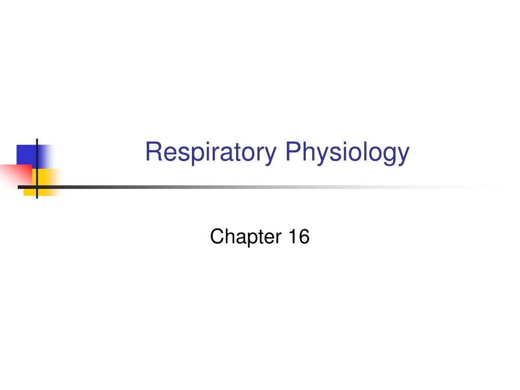 PPT - Respiratory Physiology PowerPoint Presentation, free download ...