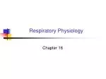 PPT - Respiratory Physiology PowerPoint Presentation, free download ...