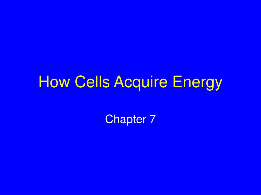 PPT - How Cells Acquire Energy PowerPoint Presentation, free download ...