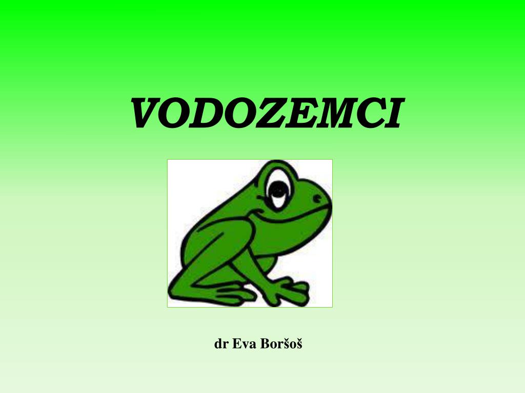 PPT - VODOZEMCI PowerPoint Presentation, free download - ID:6487777