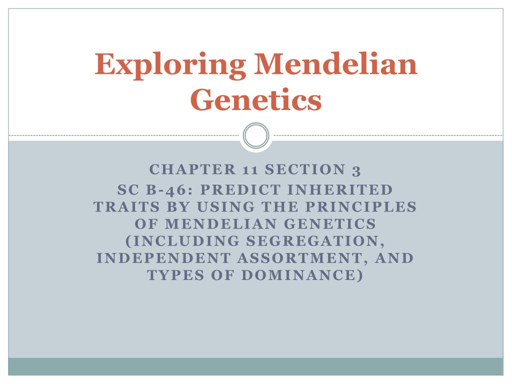 PPT - Exploring Mendelian Genetics PowerPoint Presentation, free ...