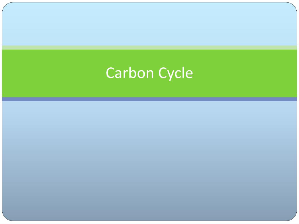 PPT - Carbon Cycle PowerPoint Presentation, free download - ID:6494029
