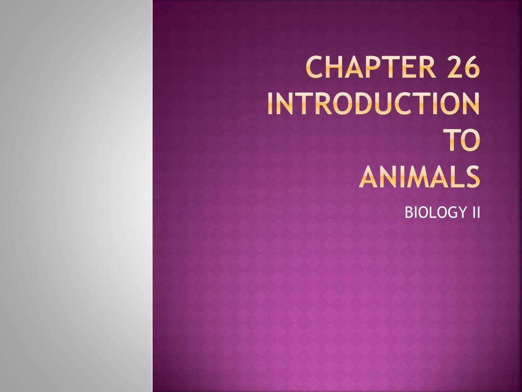 PPT - Chapter 26 INTRODUCTION TO ANIMALS PowerPoint Presentation, free ...