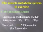 PPT - Metabolic System and Exercise PowerPoint Presentation, free ...