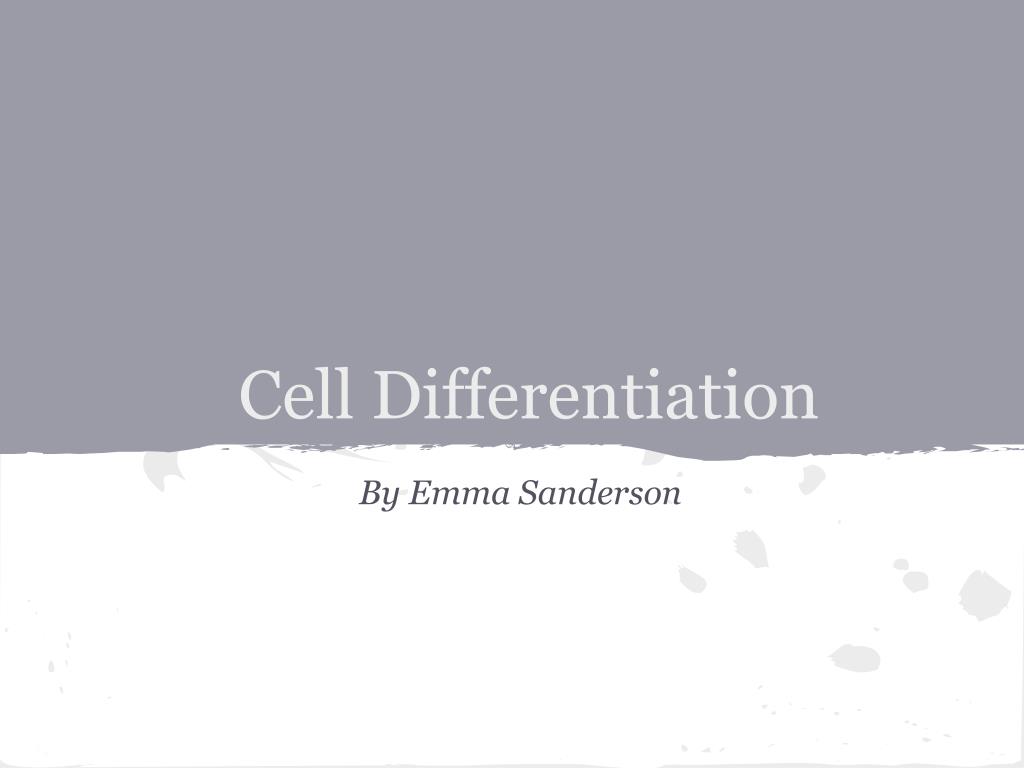 PPT - Cell Differentiation PowerPoint Presentation, free download - ID ...
