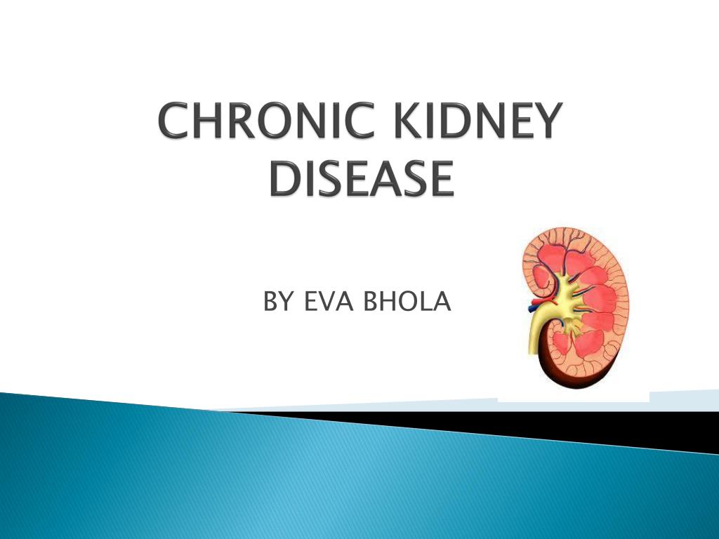 PPT - CHRONIC KIDNEY DISEASE PowerPoint Presentation, free download ...