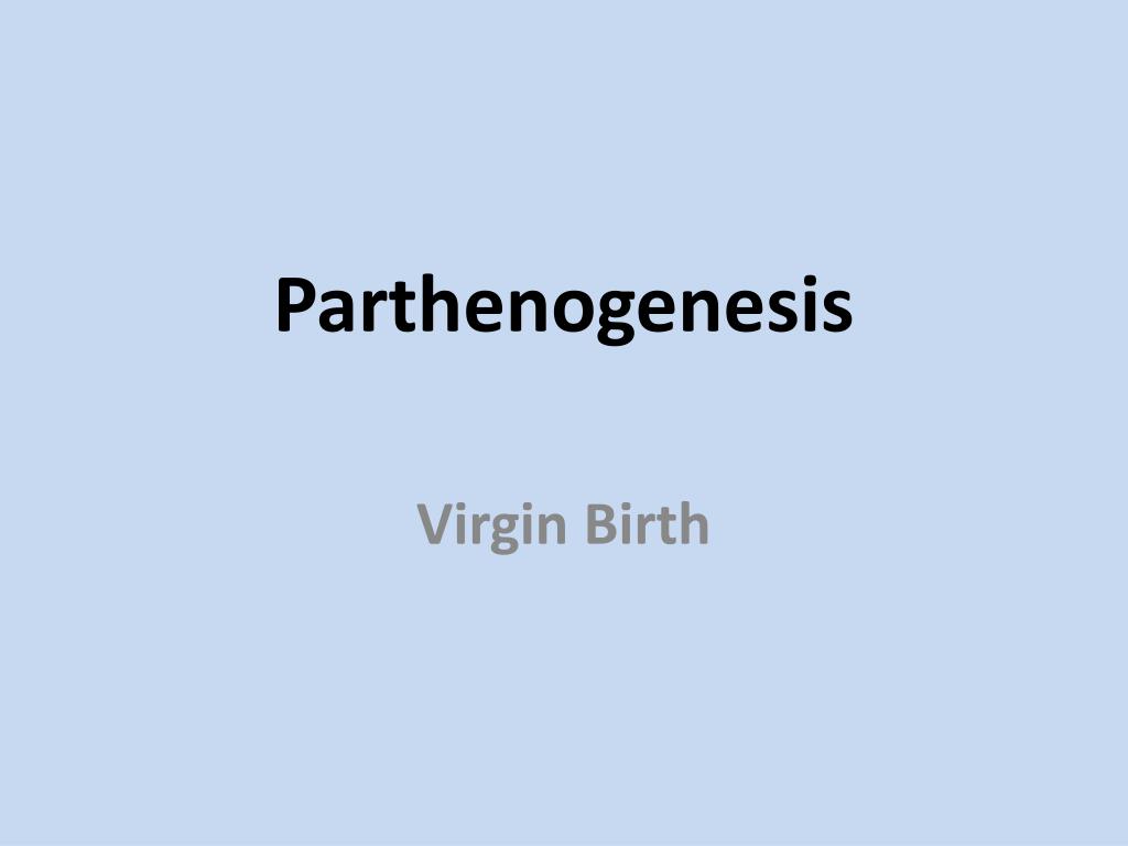 PPT - Parthenogenesis PowerPoint Presentation, free download - ID:6499325