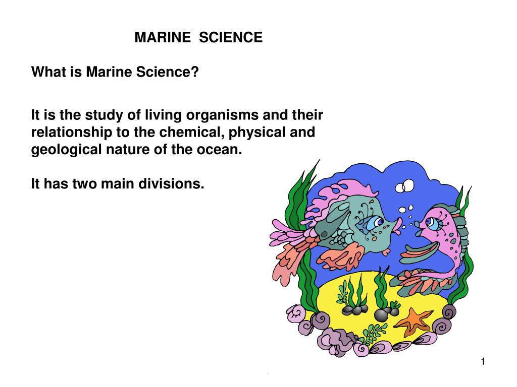 PPT - MARINE SCIENCE What is Marine Science? PowerPoint Presentation ...
