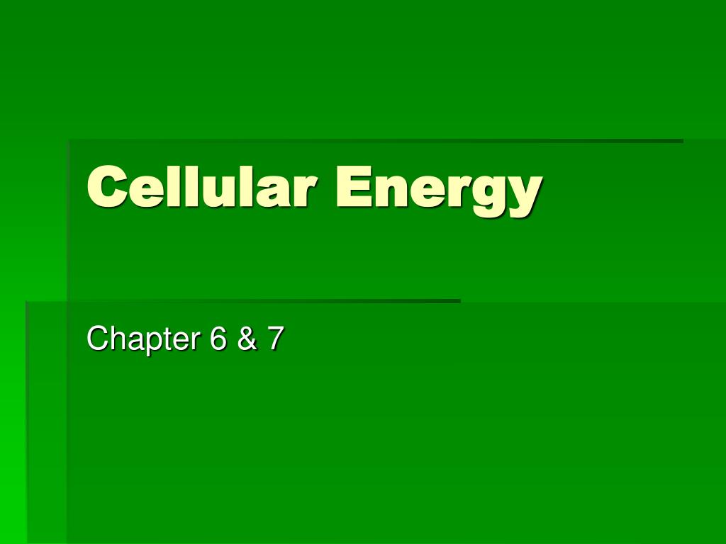 PPT - Understanding Cellular Energy: Photosynthesis and Respiration ...