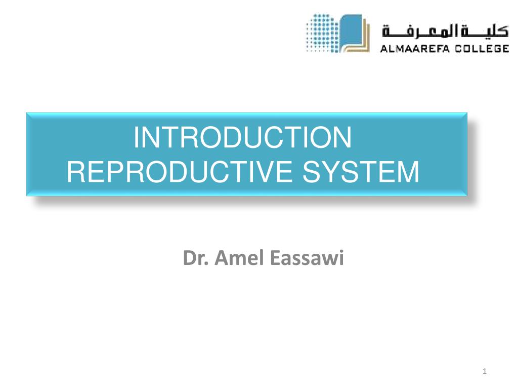 PPT - Introduction Reproductive System PowerPoint Presentation, free ...