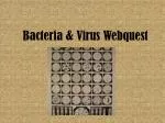 PPT - Bacteria and Virus PowerPoint Presentation, free download - ID ...