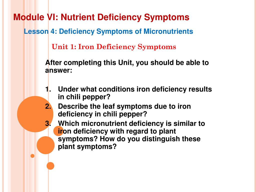 PPT - Module VI: Nutrient Deficiency Symptoms PowerPoint Presentation ...