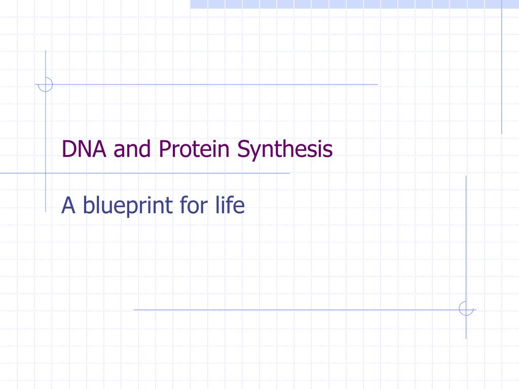 PPT - DNA and Protein Synthesis PowerPoint Presentation, free download ...
