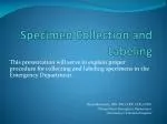 PPT - Specimen Collection PowerPoint Presentation, free download - ID ...