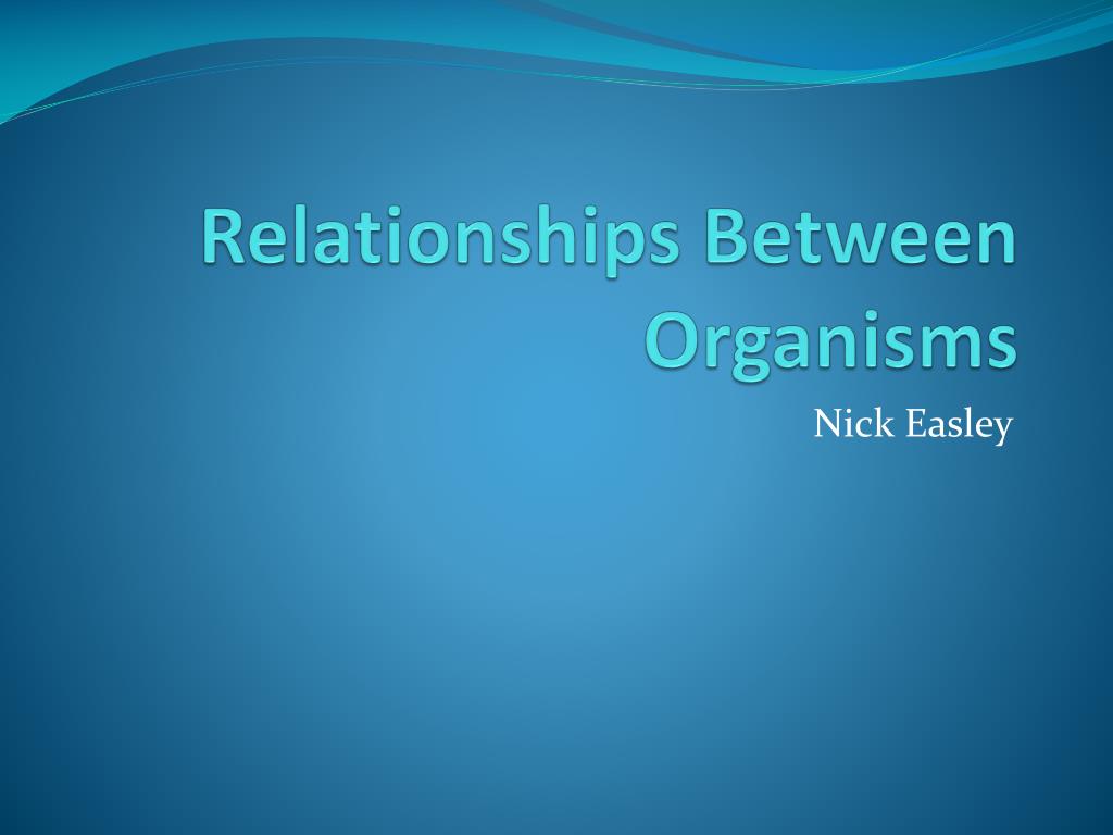 PPT - Relationships Between Organisms PowerPoint Presentation, free ...