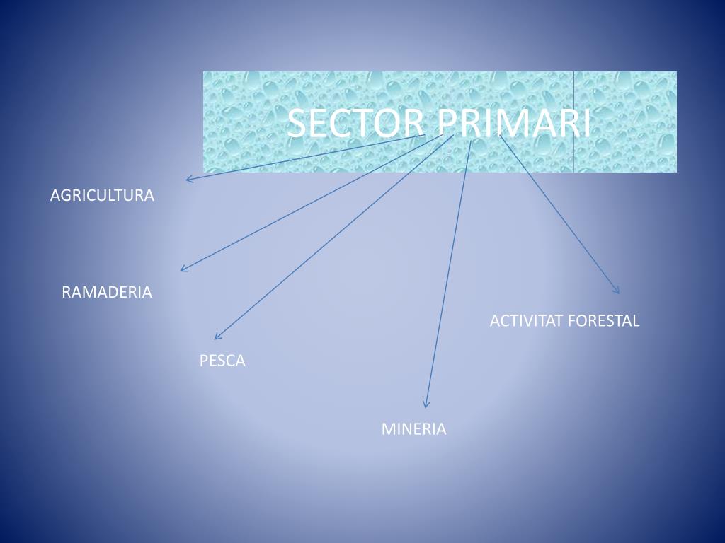 PPT - SECTOR PRIMARI PowerPoint Presentation, free download - ID:6516221