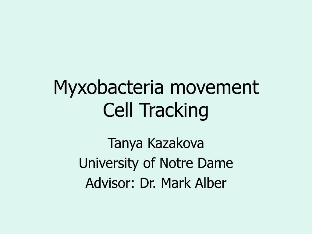 PPT - Myxobacteria movement Cell Tracking PowerPoint Presentation, free ...