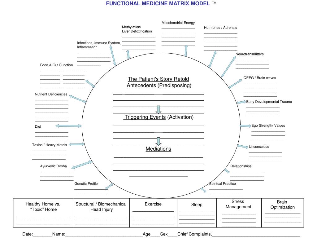 PPT - FUNCTIONAL MEDICINE MATRIX MODEL TM PowerPoint Presentation, free ...