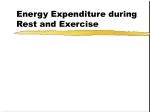 PPT - Energy Expenditure During Rest and Physical Activity PowerPoint ...