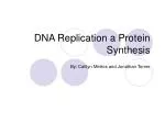 PPT - DNA Replication and Protein Synthesis PowerPoint Presentation ...
