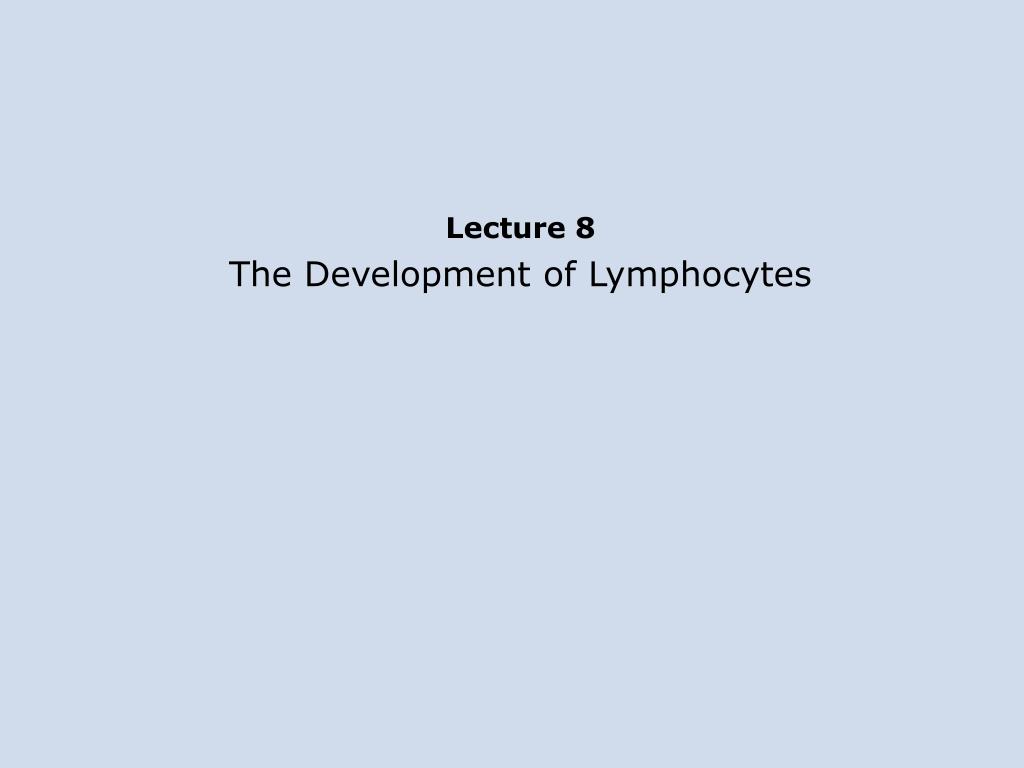 PPT - Lecture 8 The Development of Lymphocytes PowerPoint Presentation ...