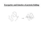 PPT - Protein Folding Energetics, Kinetics and Models PowerPoint ...