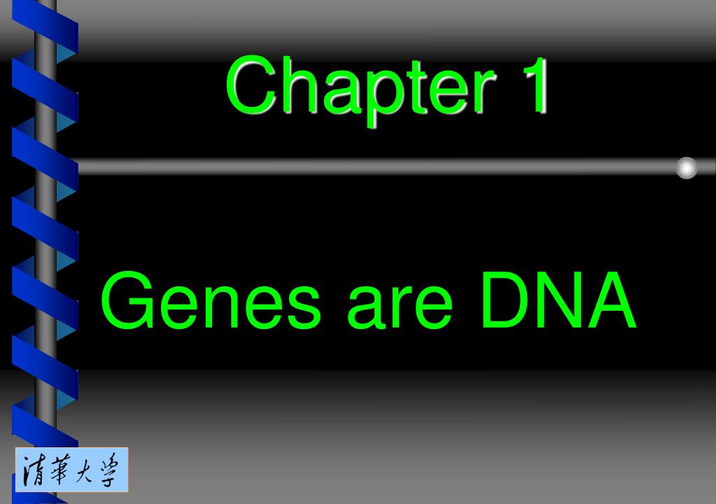 PPT - Unraveling the DNA Mystery: Genetics Fundamentals Explained ...