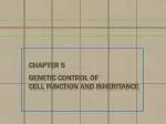 PPT - Chapter 11 The Genetic Control of Development PowerPoint ...