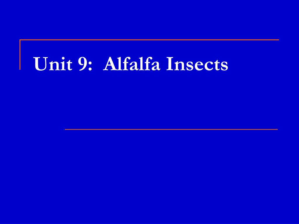 PPT - Unit 9: Alfalfa Insects PowerPoint Presentation, free download ...