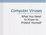 PPT - Computer Viruses PowerPoint Presentation, free download - ID:2384567