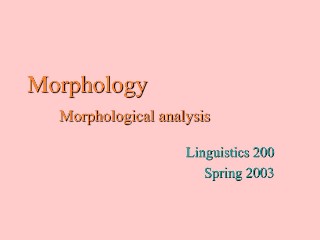 PPT - Morphology Morphological analysis PowerPoint Presentation, free ...