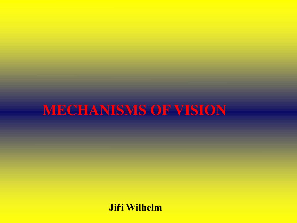PPT - MECHANISMS OF VISION PowerPoint Presentation, free download - ID ...