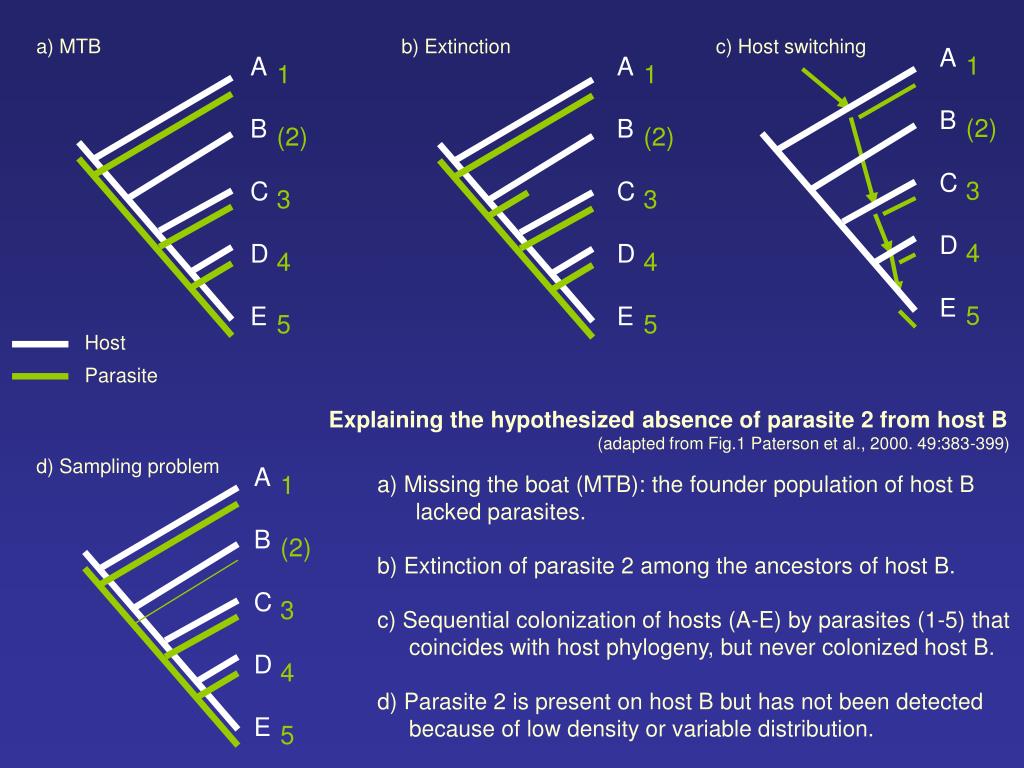 PPT - Host PowerPoint Presentation, free download - ID:6528910