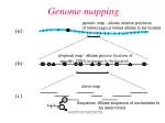 PPT - Whole-Genome Optical Mapping PowerPoint Presentation, free ...