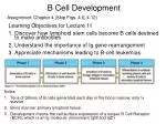 PPT - B cell development Tony DeFranco, 10/ 29/14 PowerPoint ...