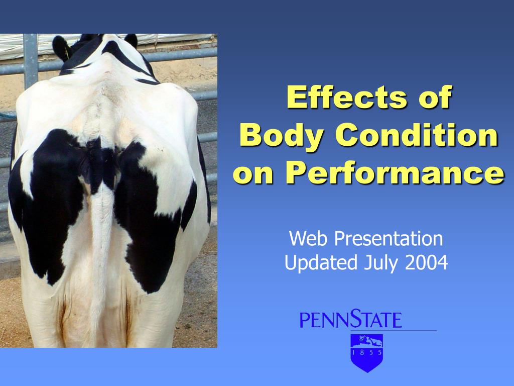 PPT - Effects of Body Condition on Performance PowerPoint Presentation ...