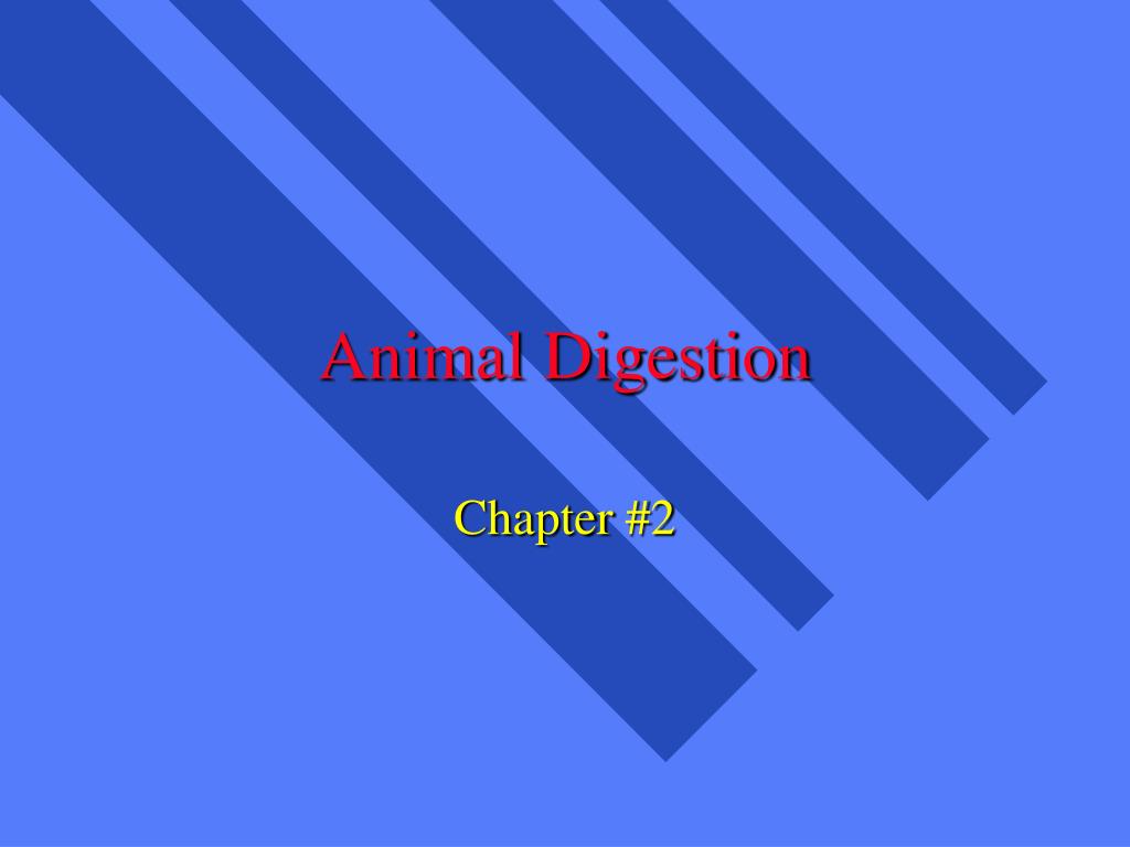 PPT - Livestock Nutrition Essentials: Understanding Nutrients ...
