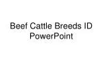 PPT - Beef Cattle Breeds PowerPoint Presentation, free download - ID:211312