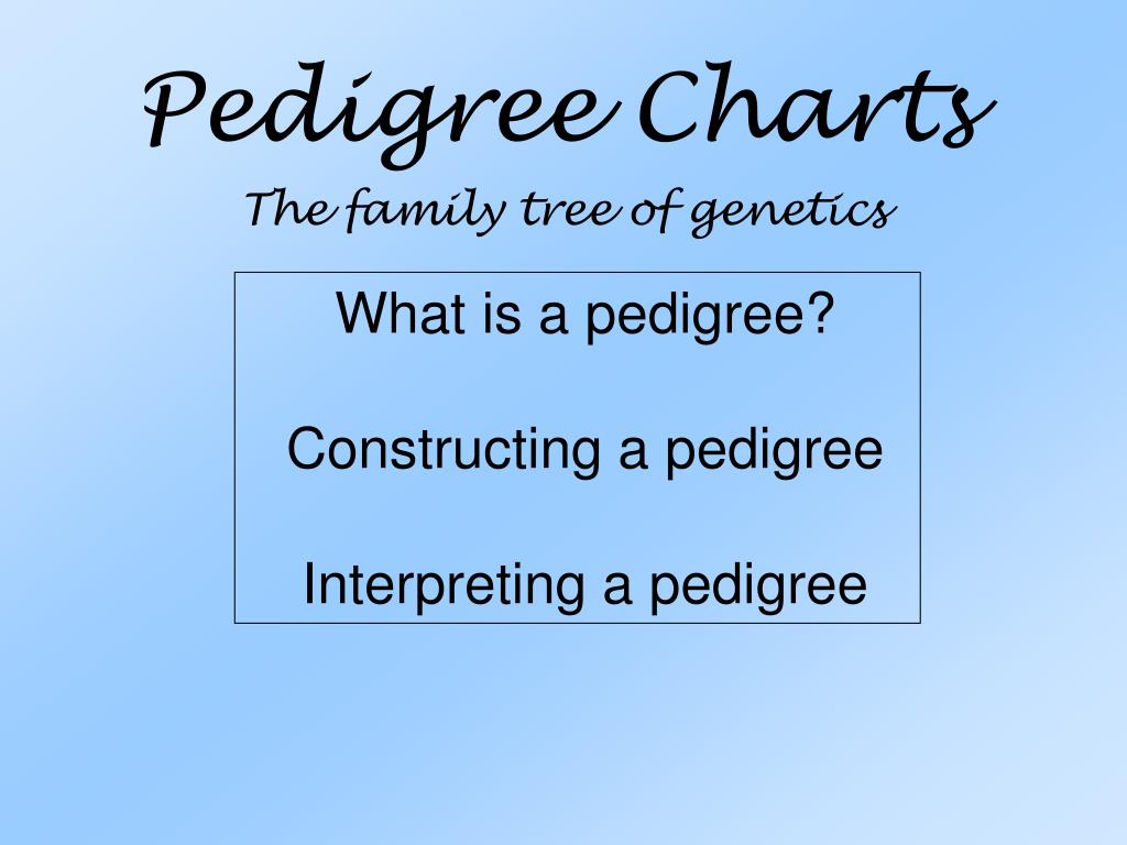 PPT - Pedigree Charts PowerPoint Presentation, free download - ID:6541551