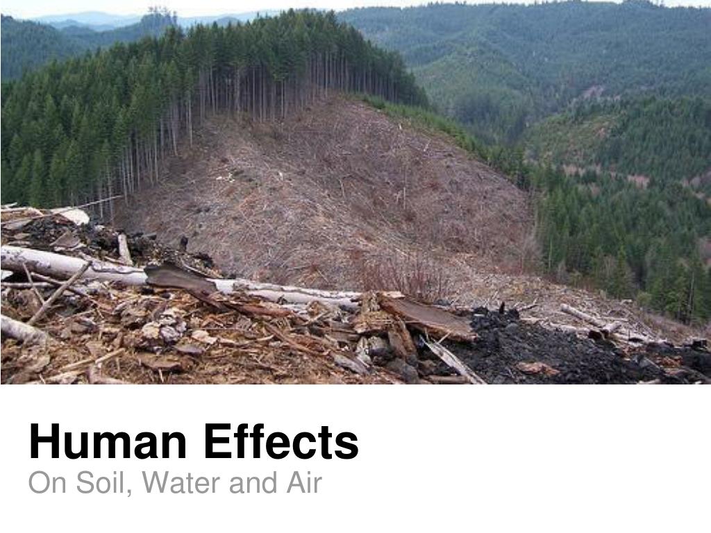 PPT - Human Effects PowerPoint Presentation, free download - ID:6543129