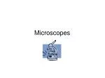 PPT - Parts of Microscopes PowerPoint Presentation, free download - ID ...