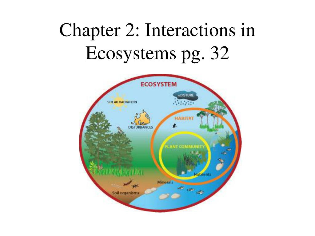 PPT - Chapter 2: Interactions in Ecosystems pg. 32 PowerPoint ...