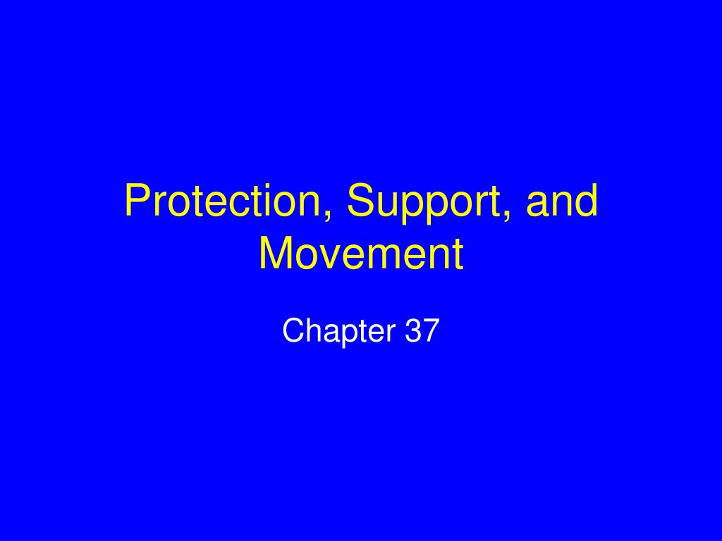 PPT - Protection, Support, and Movement PowerPoint Presentation, free ...