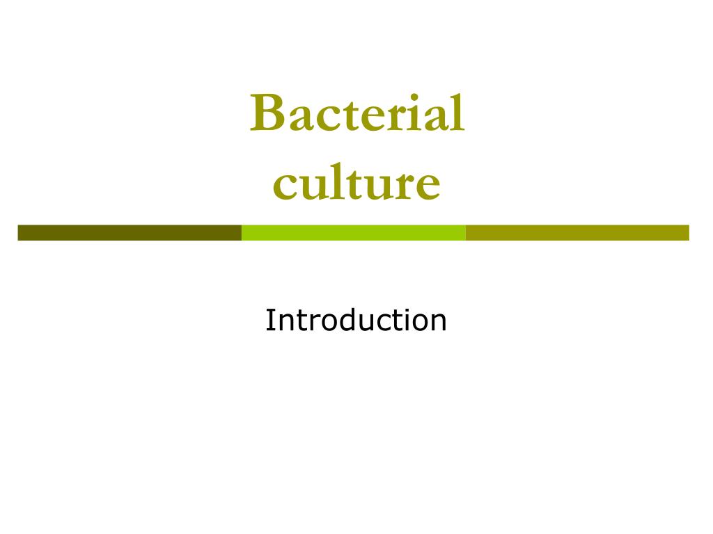 PPT - Bacterial culture PowerPoint Presentation, free download - ID:6556290