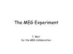 PPT - MEG Experiment PowerPoint Presentation, free download - ID:4796650