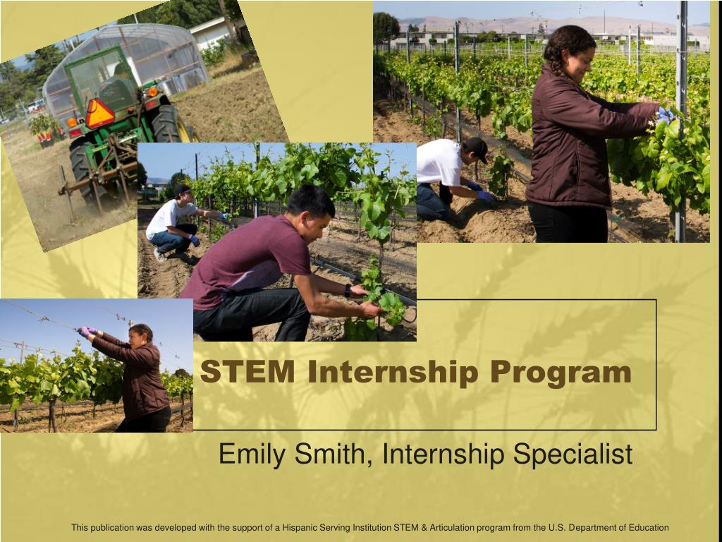PPT - STEM Internship Program PowerPoint Presentation, free download ...