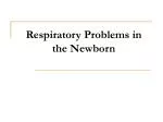 PPT - Respiratory System of the Newborn PowerPoint Presentation, free ...